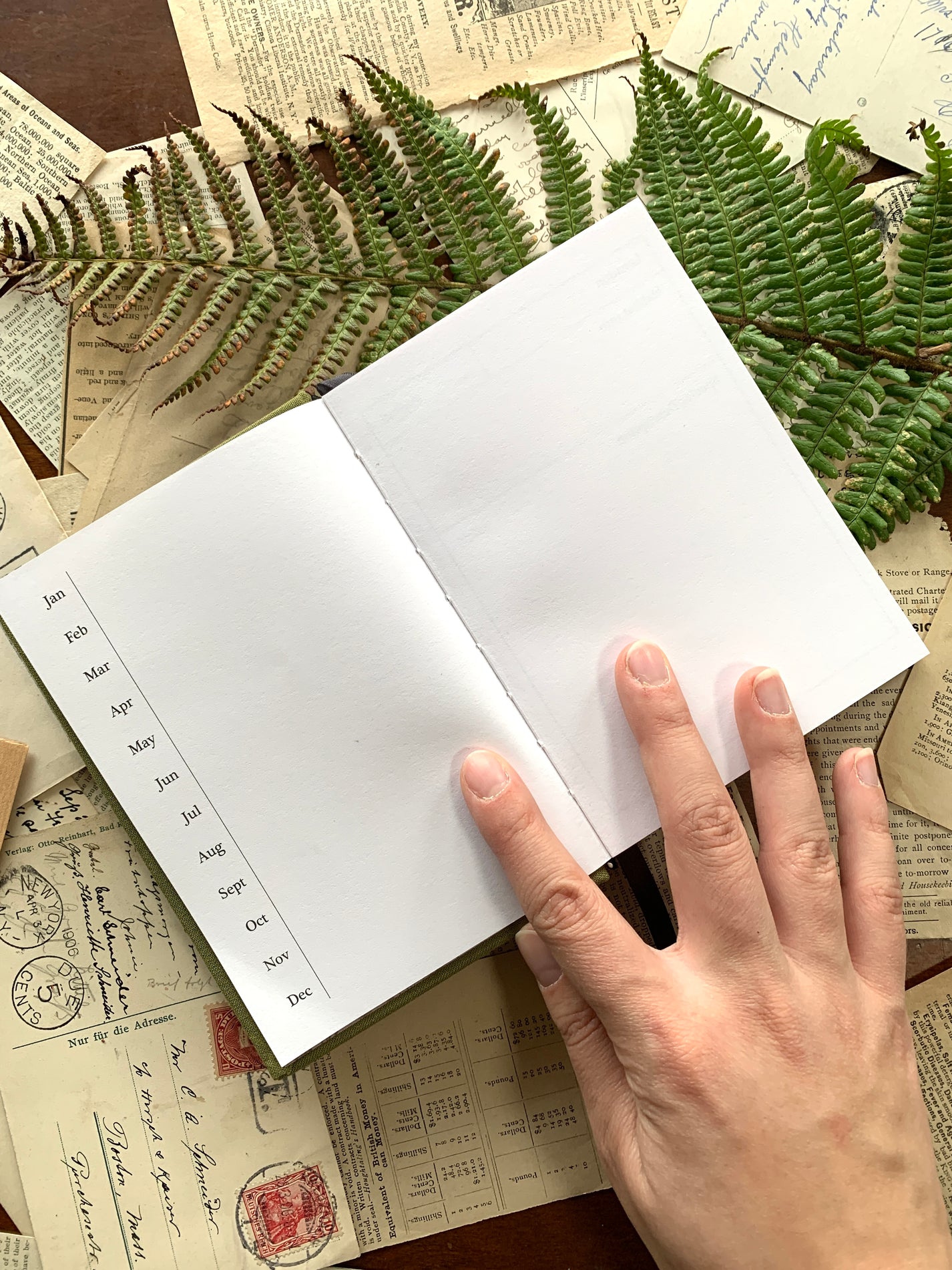GREEN Foraging A6 field journal, 120gsm white paper – The Creeping Moon